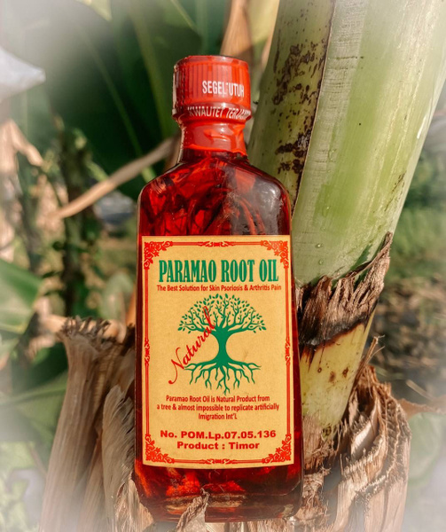 Разогревающее масло Парамао Paramao root oil купить на OZON по низкой ...
