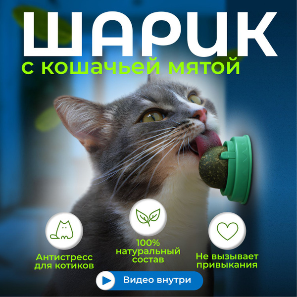 Лакомство для кошек, кошачья мята шарик - купить с доставкой по ...