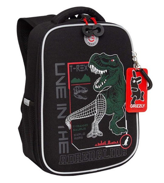Ранец CRIZZLY облегченный с одним отделением, для мальчиков, RAw-497-10 ...