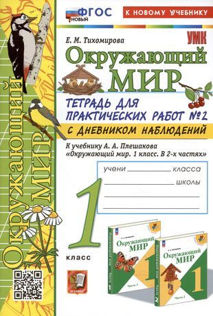 Окружающий мир. 1 класс. Тетрадь для практических работ № 2 с дневником ...