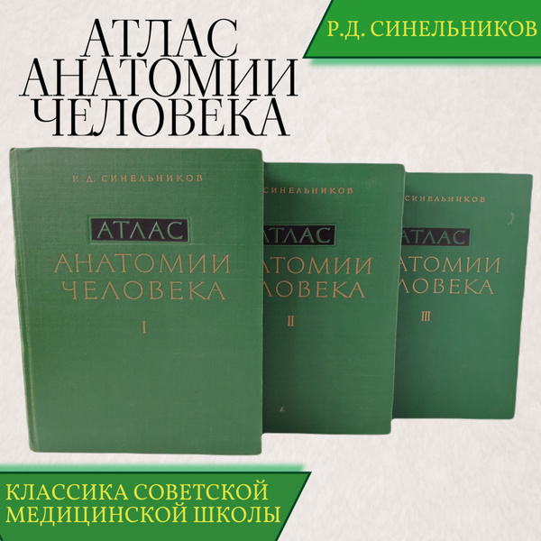 Атлас анатомии человека. Р. Д. Синельников. В 3 томах (комплект ...