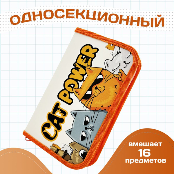 Пенал школьный для девочек и мальчиков AXLER большой вместительный ...