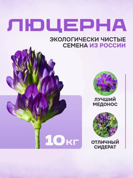 Газонные травы ЗЕЛЕНЫЙ МЕТР Люцерна изменчивая - купить по выгодным ...