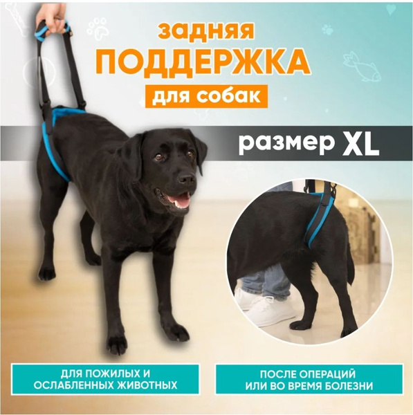 поддержка задних лап собак Ходунки для собак, Mr.Dog - купить с ...