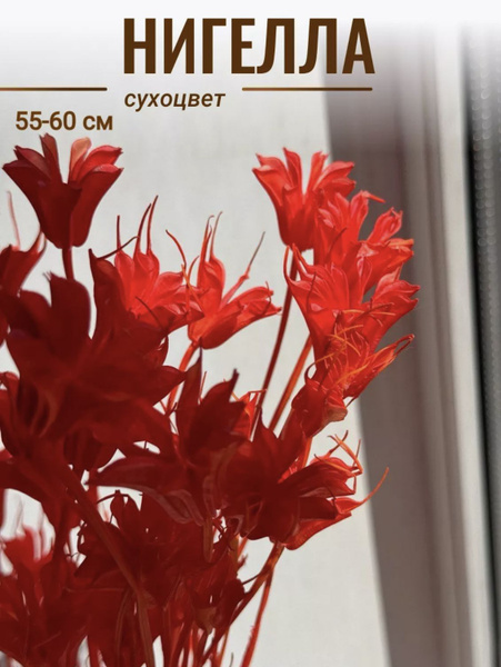 CRISPA FLOWERS Сухоцветы Нигелла, 60 см купить на OZON по низкой цене ...
