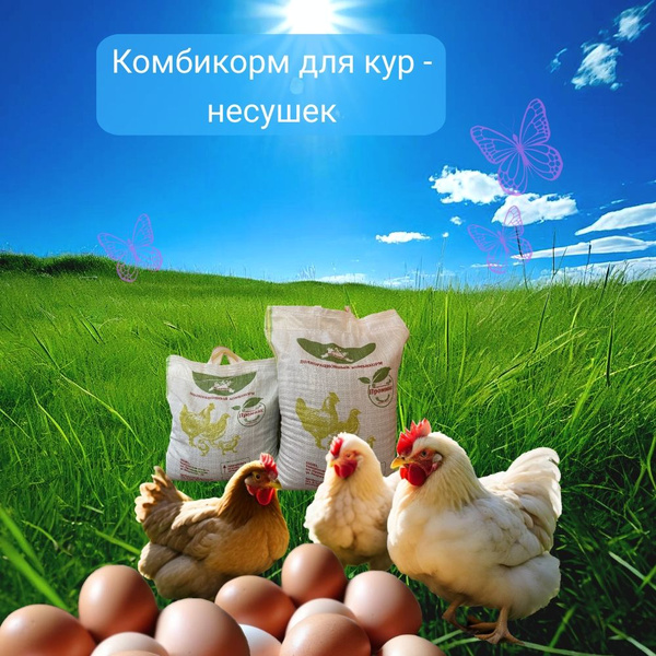 Комбикорм для кур-несушек ПК 1-2 10 кг - купить с доставкой по выгодным ...
