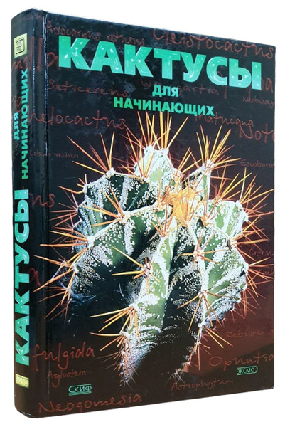 Кактусы для начинающих | Голоха Татьяна Васильевна, Белоус Юрий ...