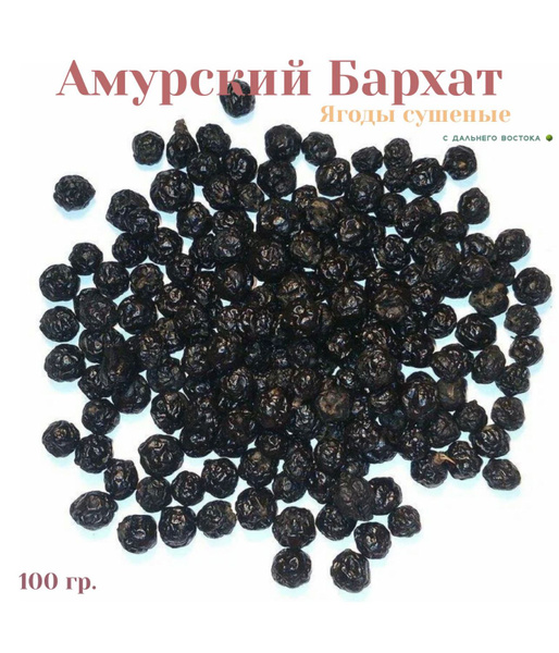 Ягоды Амурского Бархата сушеные свежий сбор 2024 год , 100 грамм ...