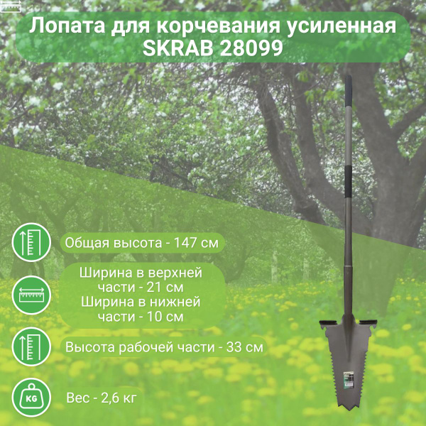 Лопата штыковая SKRAB PROFI TOOLS, Высокоуглеродистая сталь купить по ...