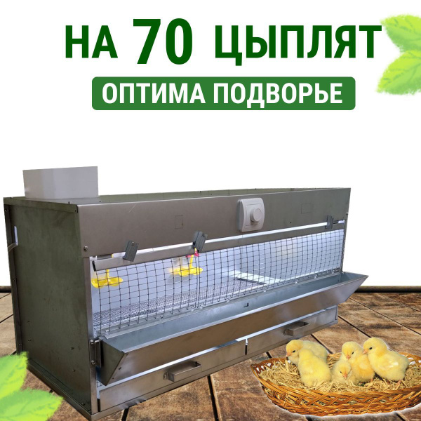 Брудер для 70 цыплят Оптима Стандарт купить на OZON по низкой цене ...