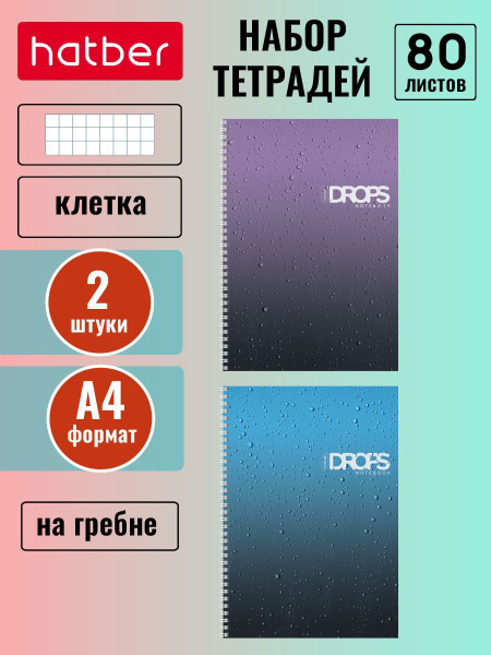 Набор тетрадей Hatber 2 штуки/2 дизайна 80 листов, формата А4, в клетку, перфорация, на гребне ...
