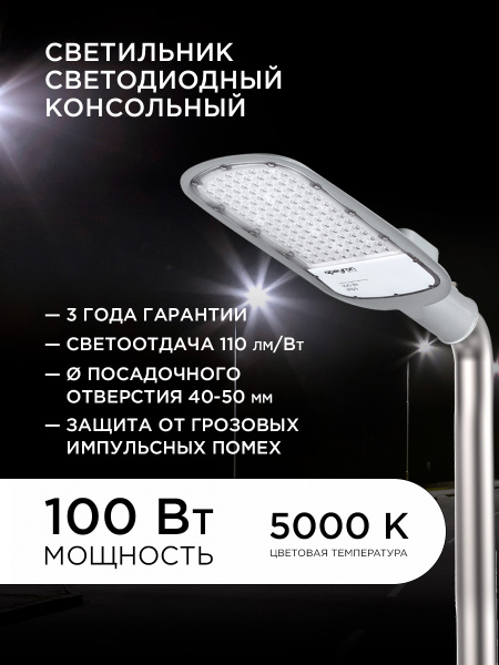 Консольный светодиодный светильник 100Вт, 5000К, КСС "Ш", 495х215х80мм ...