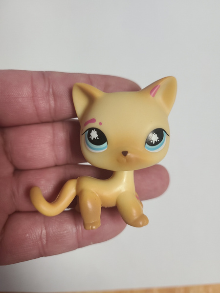 Игровой набор с куклой, Littlest Pet Shop, Короткошерстный котенок #816 ...