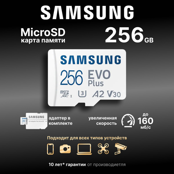 Samsung SDI Карта памяти EVO Plus 256 ГБ купить на OZON по низкой цене (1790315456)