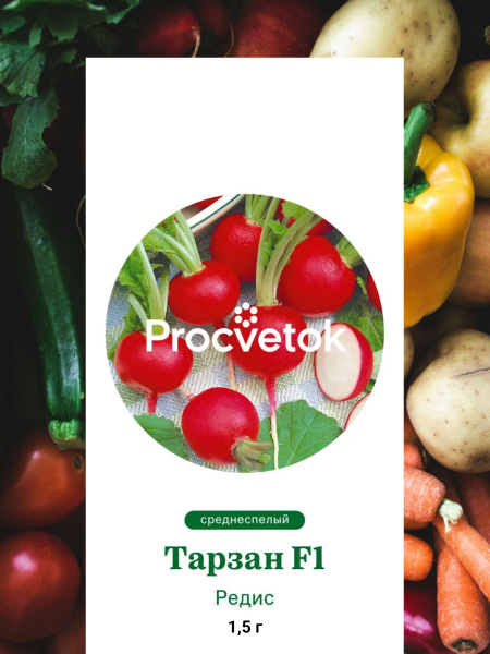 Procvetok Брокколи Гераклион F1 - купить по выгодным ценам в интернет-магазине OZON (1984757334)