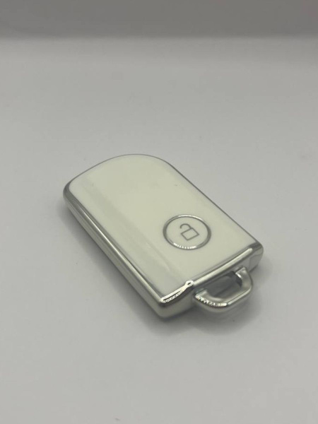 Чехол для метки сигнализации Pandora Pandect белый серый купить на OZON по низкой цене (2099825819)