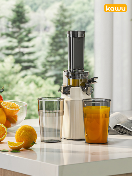 KAWU Соковыжималка шнековая SJ-019, светло-бежевый купить на OZON по низкой цене (2169701140)
