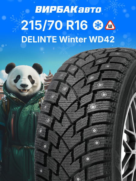 Delinte Winter WD42 Шины зимние 215/70 R16 100T Шипованные ...