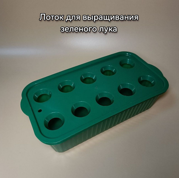 Лоток для выращивания зеленого лука купить по низкой цене в интернет ...