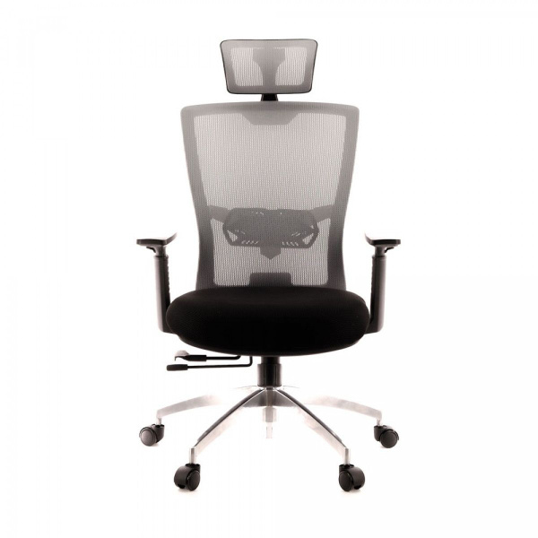 Ортопедический стул Everprof Кресло Polo S Сетка Серый, Сталь - купить по доступным ценам в ...