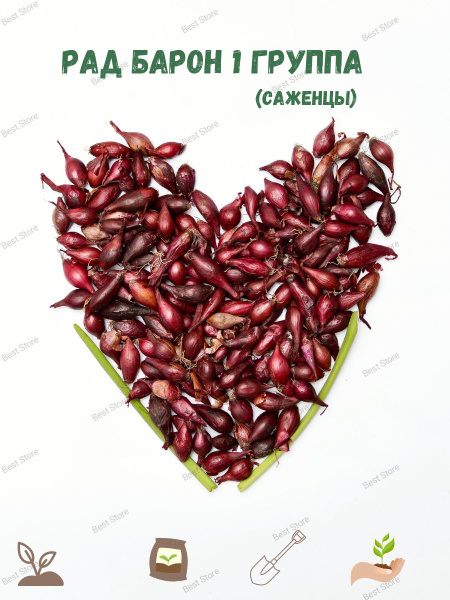 "Красный Барон" лук-севок на головку и перо 0.5кг купить на OZON по ...