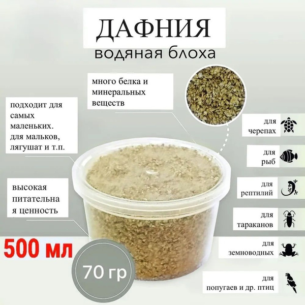 Дафния (Daphnia) - купить с доставкой по выгодным ценам в интернет ...