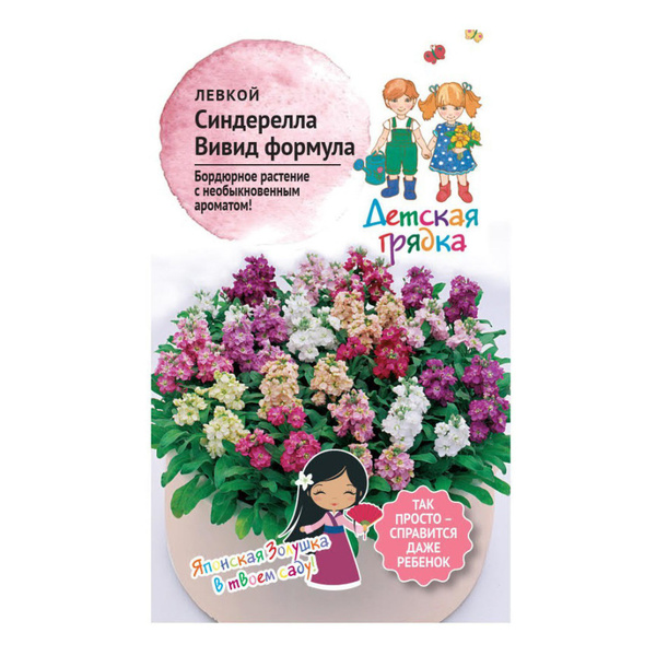 Левкой_Синдерелла Вивид - купить по выгодным ценам в интернет-магазине ...