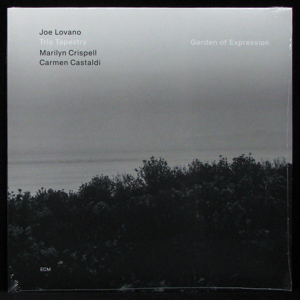LP Joe Lovano - Garden Of Expression (винил) (340562) - купить с ...