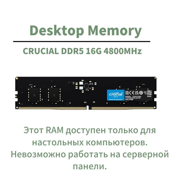 Модуль оперативной памяти Crucial Desktop DDR5 16G 480016 ГБ (CRUCIAL Desktop DDR5 16G 4800 ...