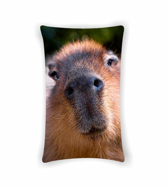 Подушка MIGOM "Capybara v2, Капибара" - v0014 29x40 - купить по низкой цене в интернет-магазине ...