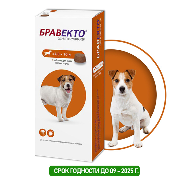 Бравекто таблетка для собак жевательная от блох и клещей 250 мг, весом ...