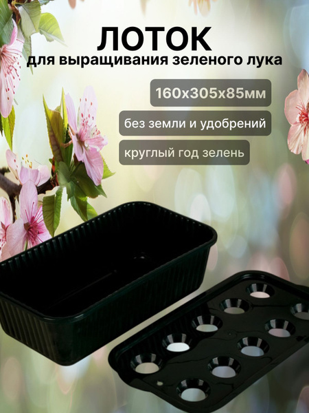 Лоток для выращивания зелёного лука купить по низкой цене в интернет ...