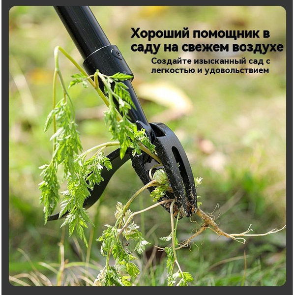 Пропольник купить на OZON по низкой цене (1578083661)