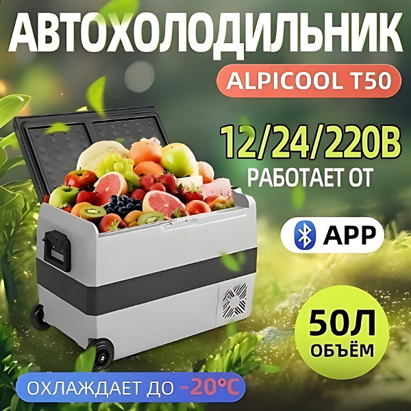 Автомобильный холодильник Alpicool T50 (12В/24В/220В) 50 литров ...