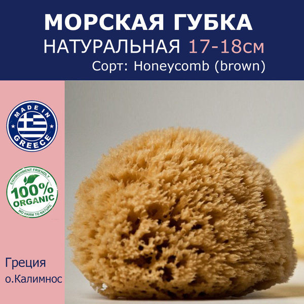 Губка морская натуральная, 17-18см Греция (о.Калимнос) - купить с ...