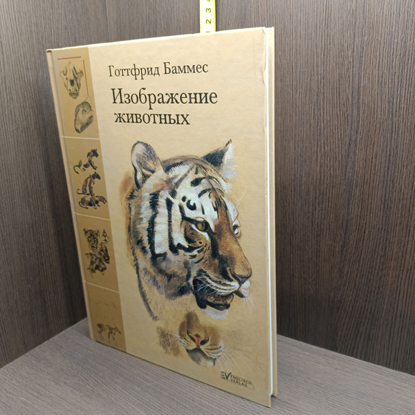 Учебное пособие, книга для художников и дизайнеров, "Изображение ...