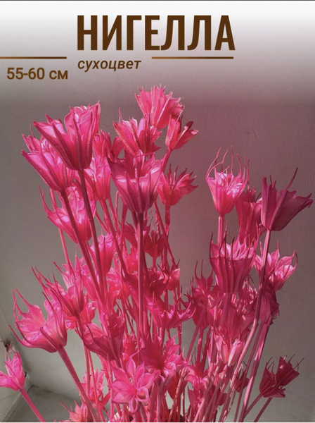 CRISPA FLOWERS Сухоцветы Нигелла, 60 см купить на OZON по низкой цене ...
