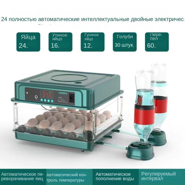 24 инкубатор для яиц автоматический,220В/12В - купить с доставкой по ...