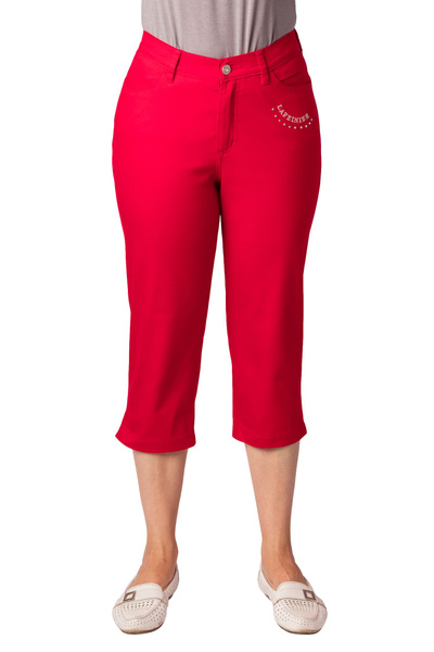 Бриджи LAFEI-NIER Классические - купить с доставкой по выгодным ценам в ...