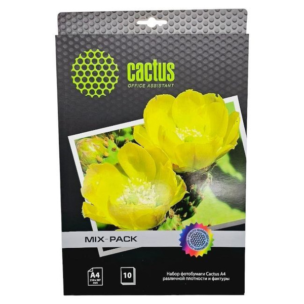 Фотобумага Cactus CS-MIXPACK A4 (21x29.7 см) 21 лист купить на OZON по ...
