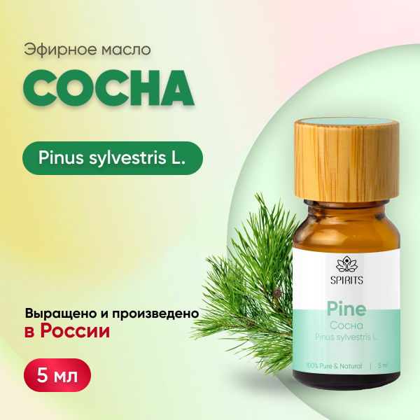 Эфирное масло Сосна сибирская (Pinus sylvestris L.), Россия, 5 мл ...