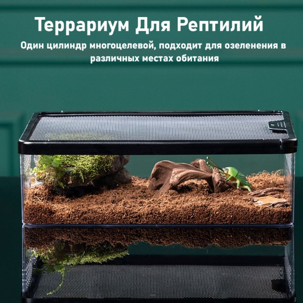 Террариум с крышкой для рептилий, пауков, улиток, богомолов, палочника ...