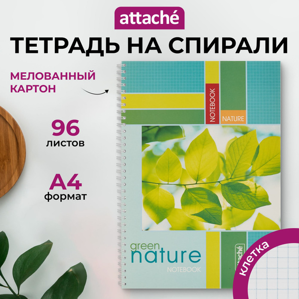 Тетрадь общая Attache, 96 листов в клетку купить на OZON по низкой цене (370466580)