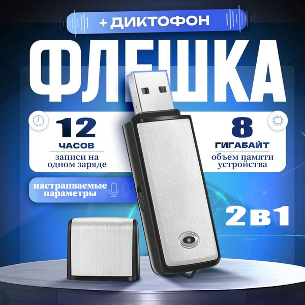 Цифровой аудио мини диктофон для записи голоса и разговоров + USB ...