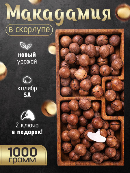Макадамия орех NUR KING Премиум крупный калибр 5а, 1 кг купить на OZON ...