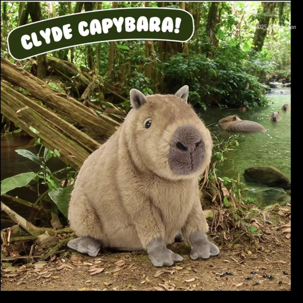 плюшевая игрушка Jellycat Clyde Capybara 21cm купить на OZON по низкой ...