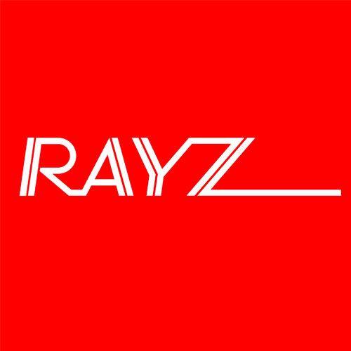 RAYZ — купить товары RAYZ в интернет-магазине OZON