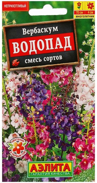 Вербаскум Аэлита 1 - купить по выгодным ценам в интернет-магазине OZON ...