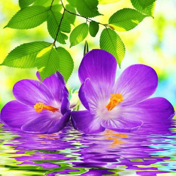 Фотообои бумажные глянцевые Нежность 134*196 см (4 листа) купить на OZON по низкой цене (491231324)