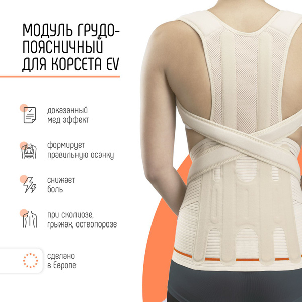 Грудопоясничный модуль для спины к корсетам EV НЕ ИСПОЛЬЗУЕТСЯ без ...
